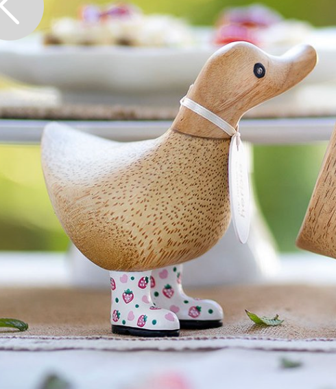 DCUK Wild Strawberry Duckys – Ducks-n-Stuff